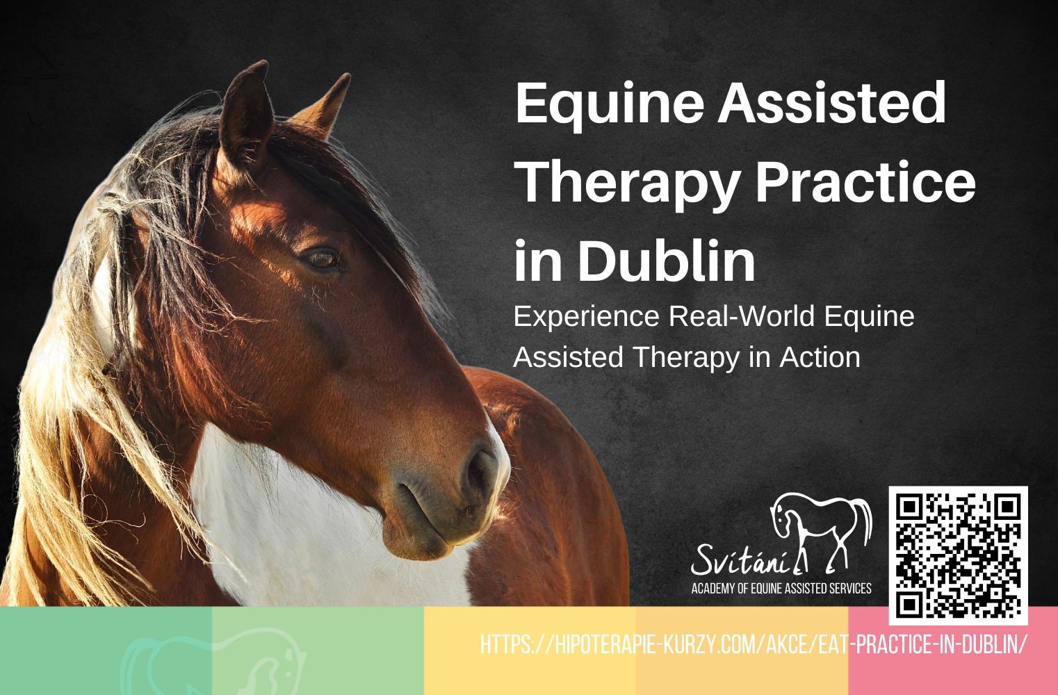 Equine Assisted Therapy Practice in Dublin | Hands-On Course with ...